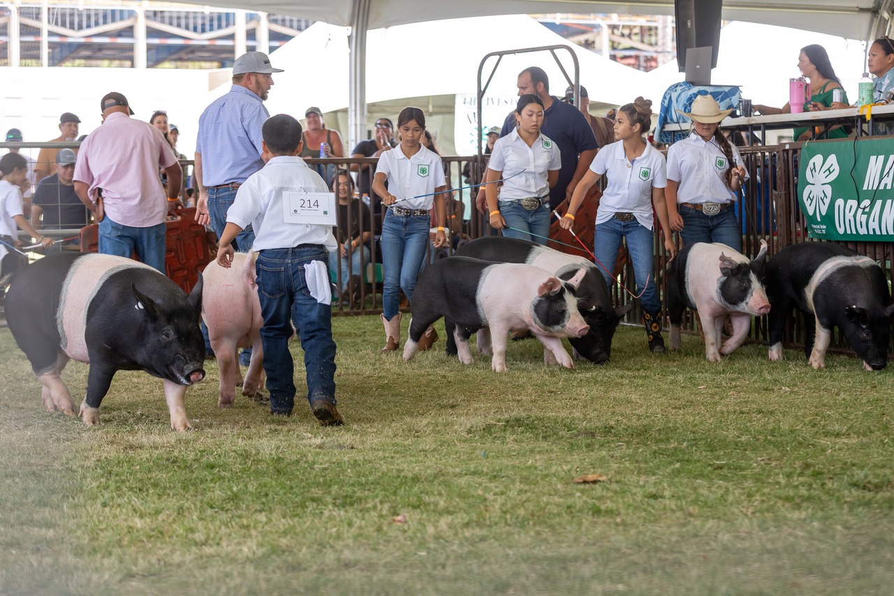 Maui AgFest returns May 30 | News, Sports, Jobs - Maui News